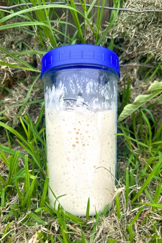 Sourdough Coil Fold vs Stretch and Fold: Which Technique is Better ...