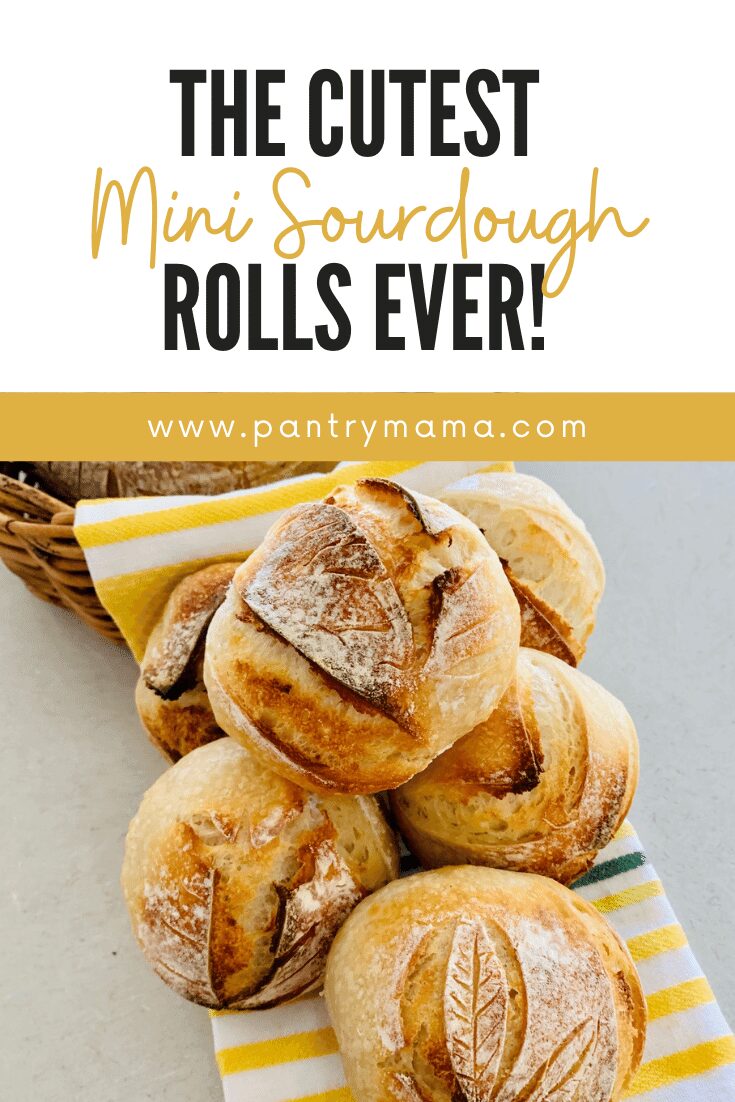 Mini Sourdough Boules + Crusty Sourdough Rolls - The Pantry Mama