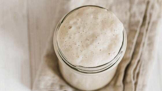 How Do You Know When Your Sourdough Starter Is Ready To Bake With ...