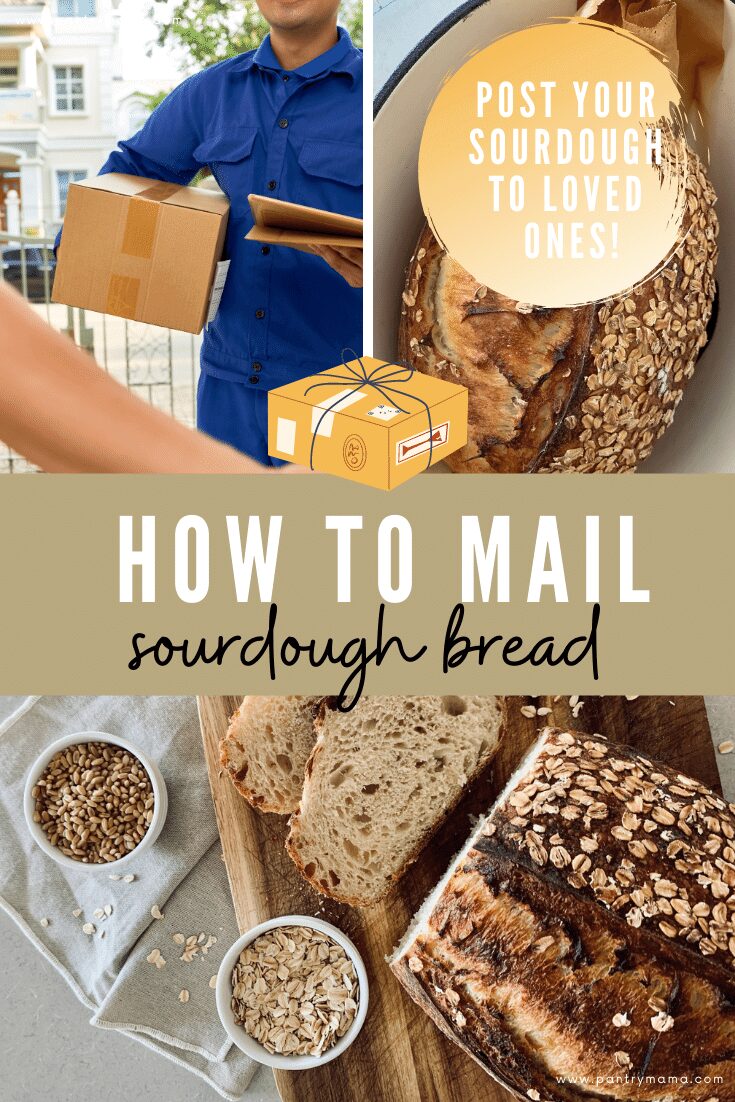 How To Mail Sourdough Bread: Tips for Mailing Sourdough & Homemade ...