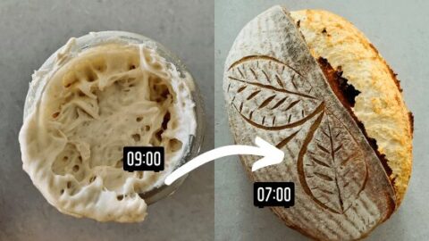 The History of Sourdough Bread - The Pantry Mama