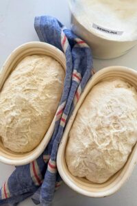 Banneton Size Guide: Choosing The Right Size Banneton For Dough Weight ...