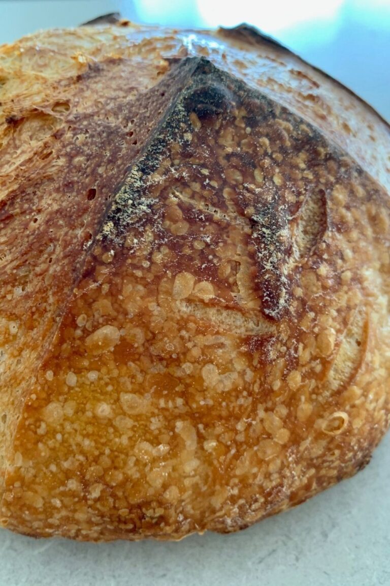 How To Get Blisters On Sourdough Bread - The Pantry Mama