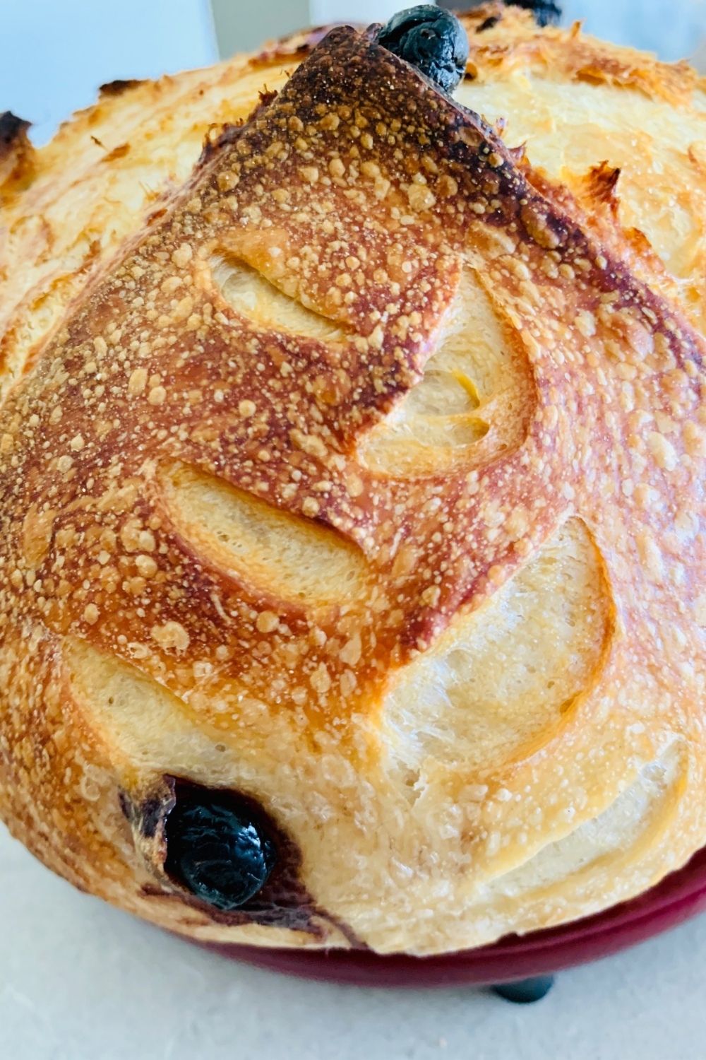 How To Get Blisters On Sourdough Bread - The Pantry Mama