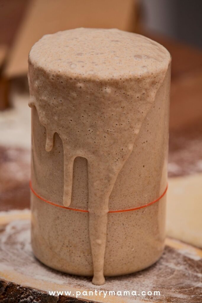 Understanding Baker's Math & Baker's Percentages in Sourdough Bread ...