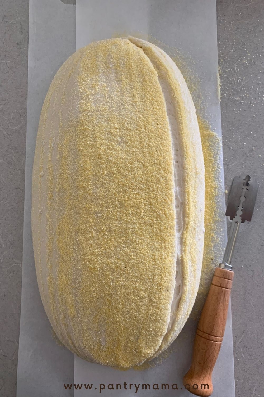 Help! My Sourdough Bread Deflates When Scored - The Pantry Mama