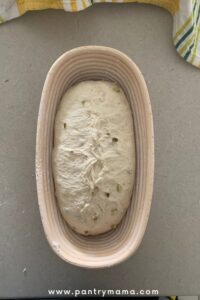 Sourdough Oven Spring: 10+ Tips To A Better Rise - The Pantry Mama