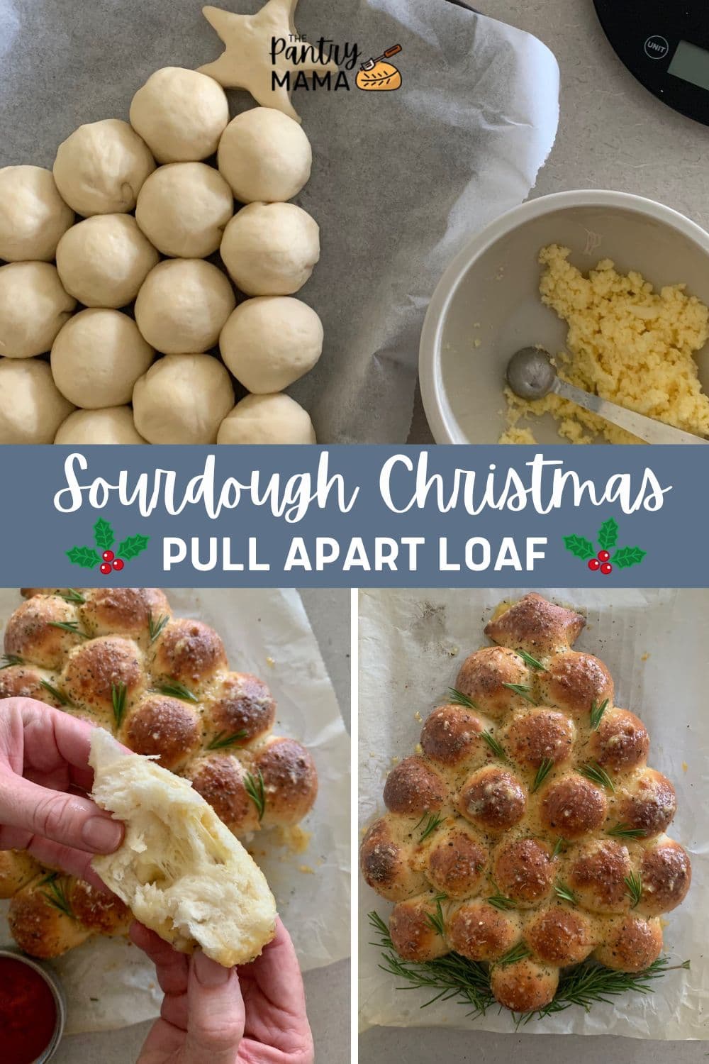 Sourdough Christmas Tree Pull Apart Bread with Cheese + Garlic - The ...