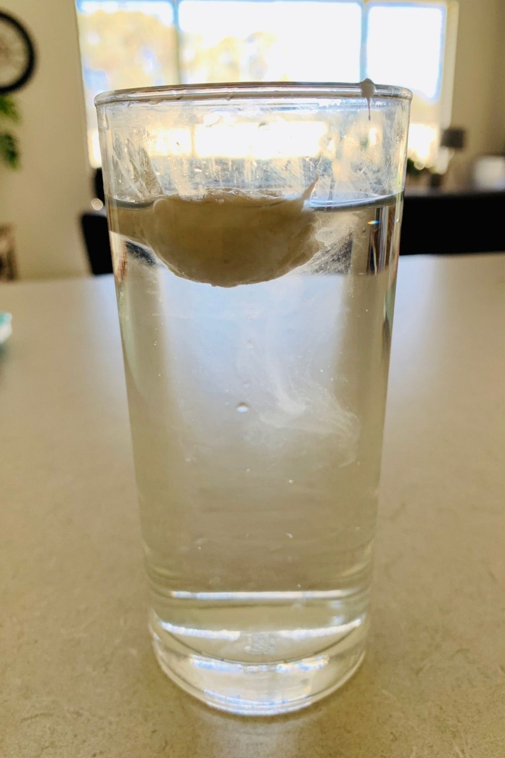 Sourdough Float Test: Is It Really Necessary? - The Pantry Mama