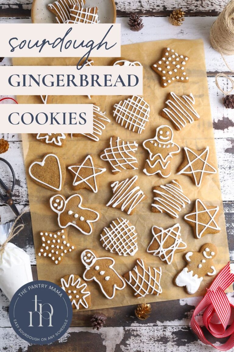 Sourdough Gingerbread Cookies - The Pantry Mama