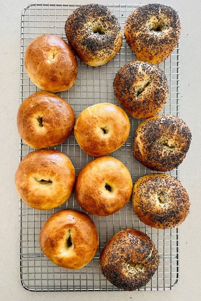 Jalapeño Cheddar Sourdough Bagels - The Pantry Mama