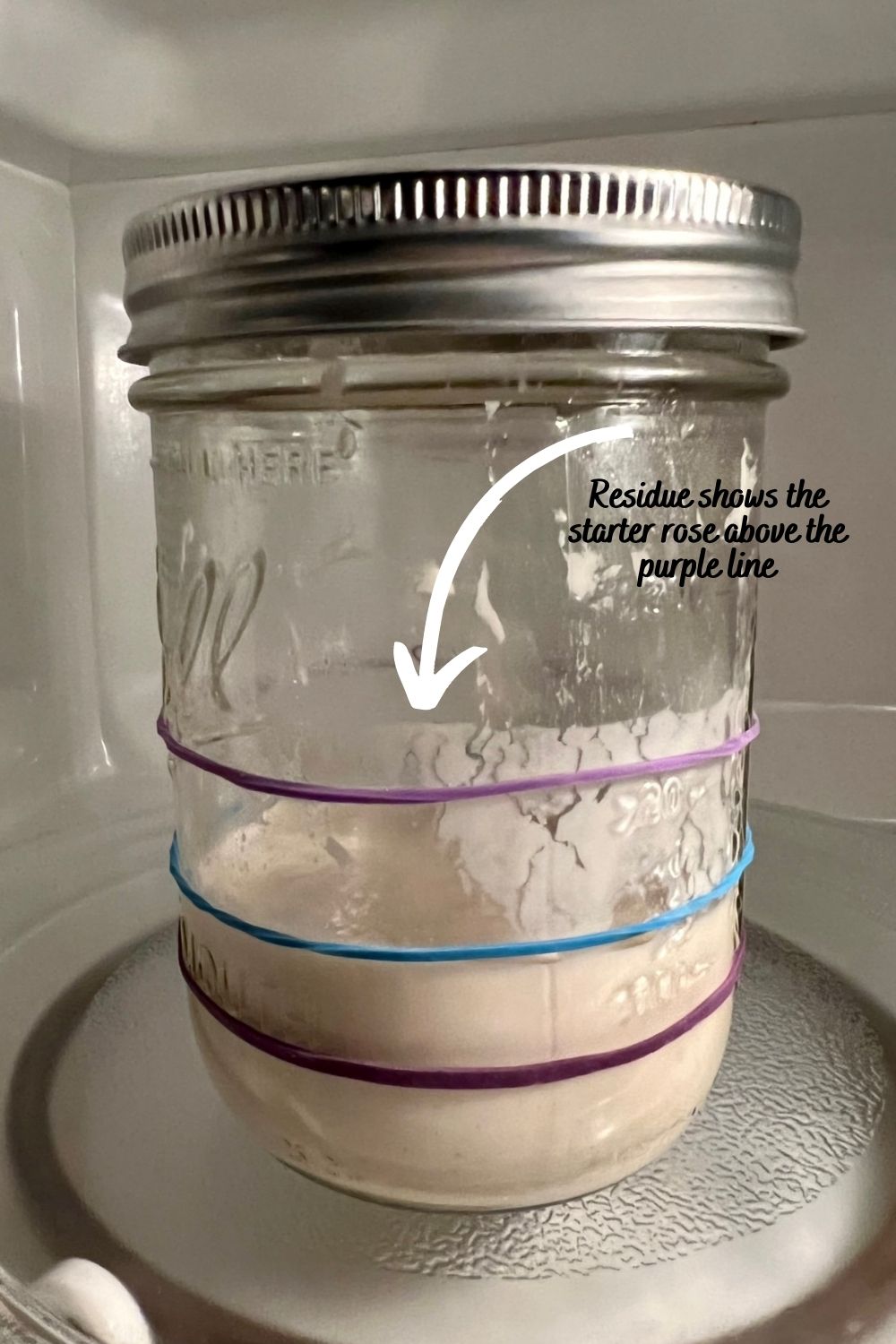 Best Time To Use Sourdough Starter - The Pantry Mama