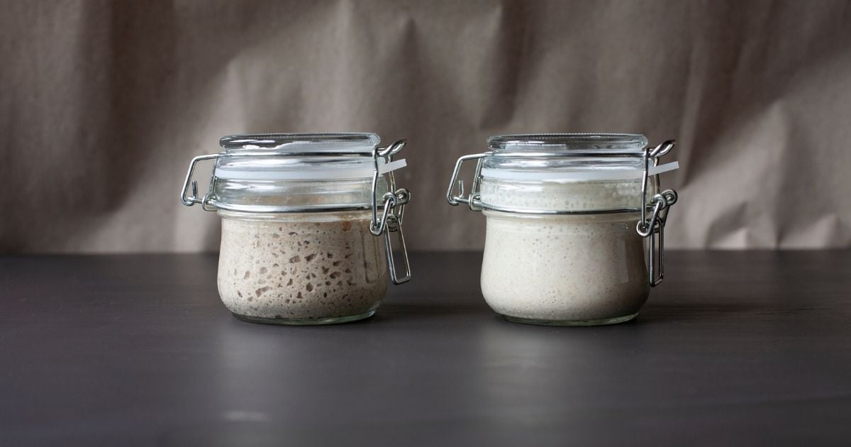 Differences Between A Levain And A Sourdough Starter - The Pantry Mama