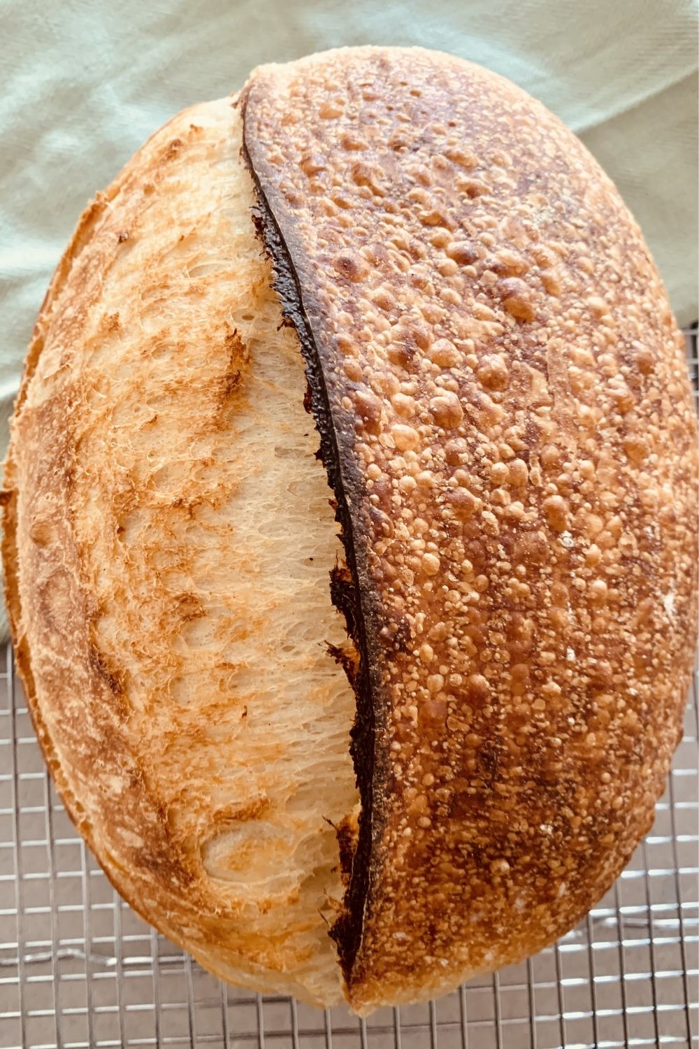 10 Different Types of Sourdough Starters and How To Use Them - The ...