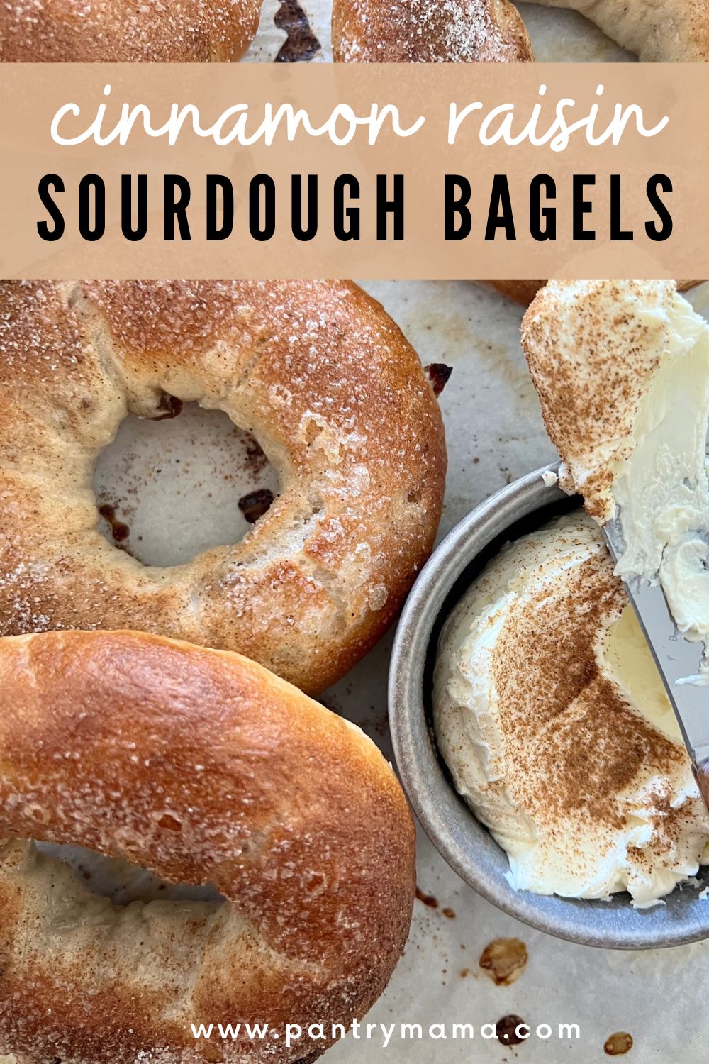 Cinnamon Raisin Sourdough Bagels - The Pantry Mama