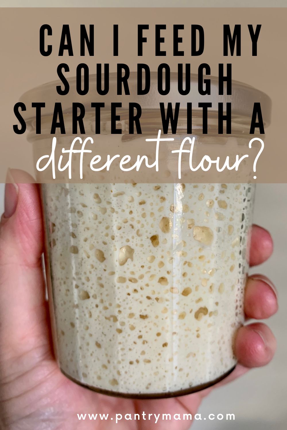 Can I Feed My Sourdough Starter Different Types Of Flour The Pantry Mama