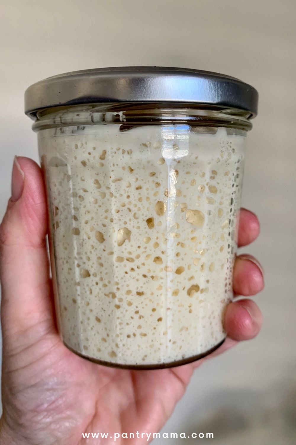 20 Interesting Facts About Sourdough Bread To Know in 2024 - The Pantry ...