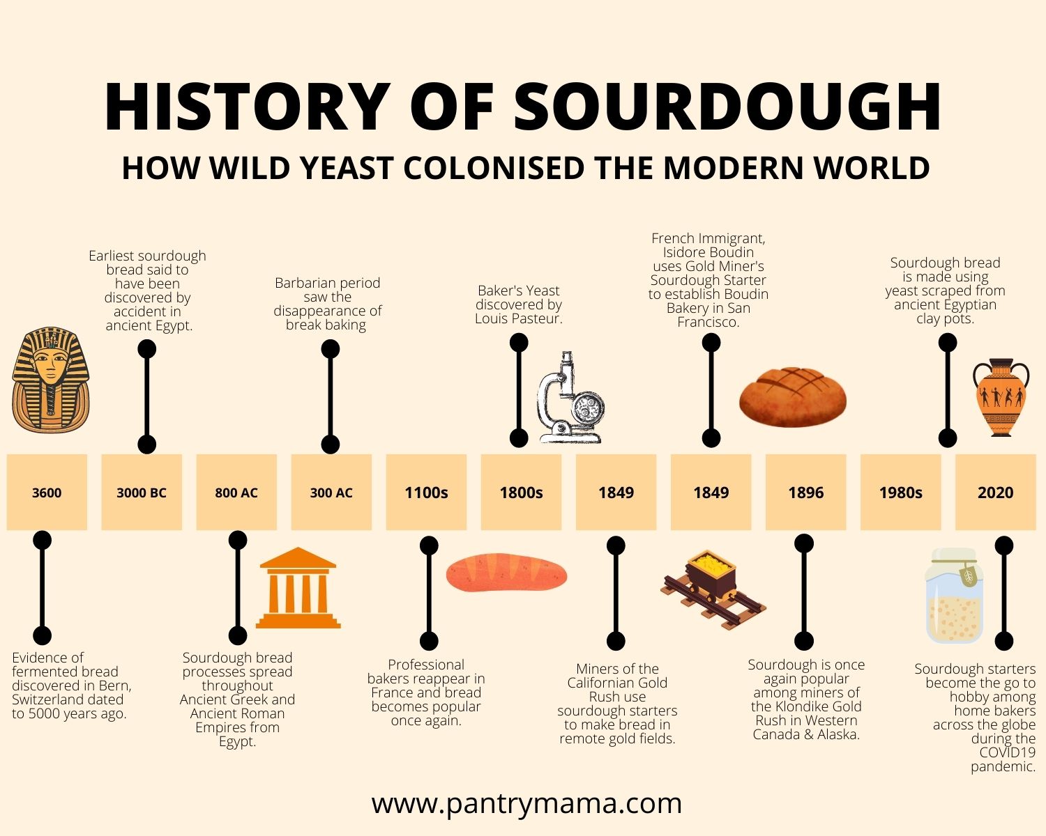 The History Of Sourdough Bread The Pantry Mama
