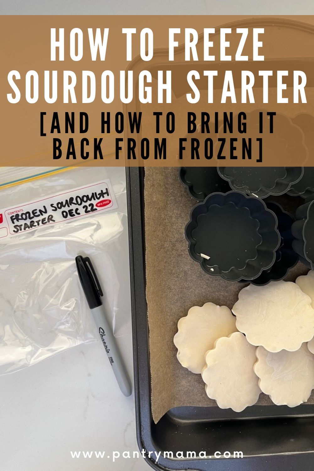 Can You Freeze Dry Sourdough Starter at Isabella Embry blog