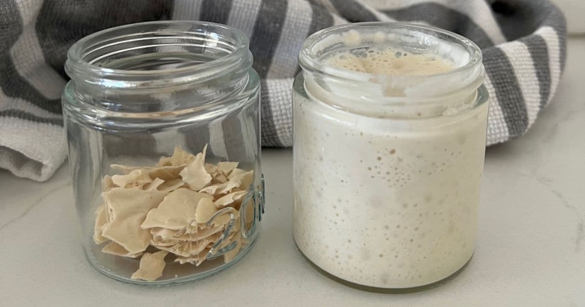 Make & Maintain A Small Sourdough Starter (Mini Starter) - The Pantry Mama