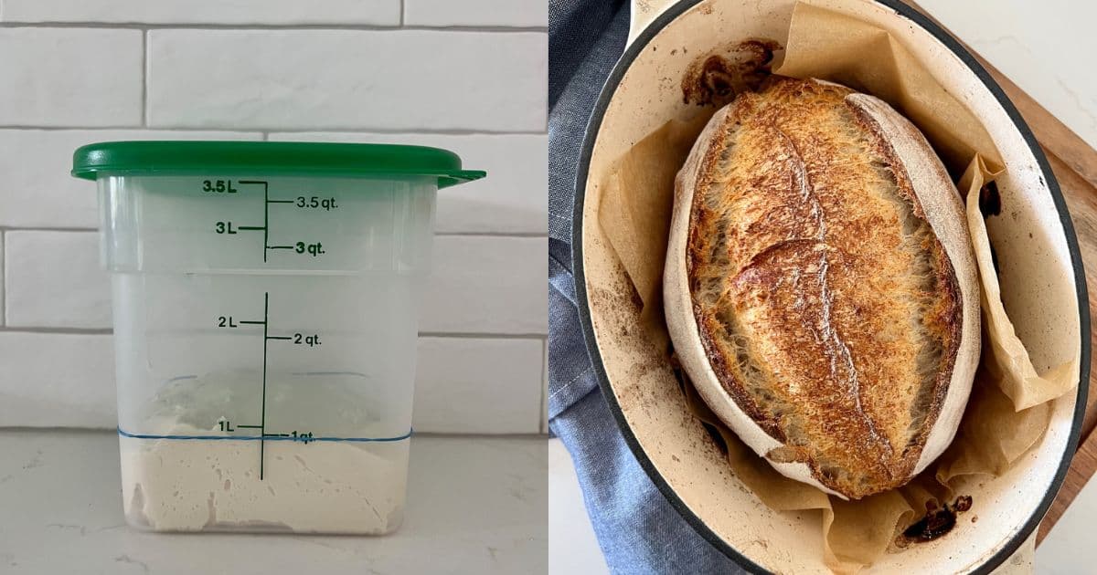 How To Use A Cambro Container for Easy Sourdough Bread Baking - The ...