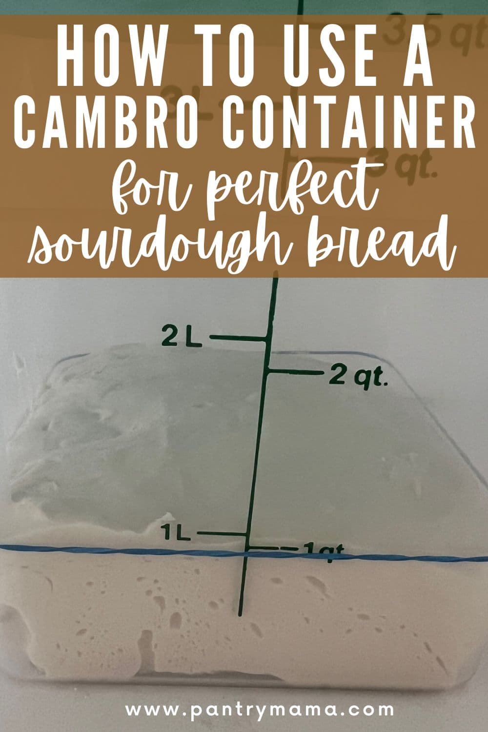How To Use A Cambro Container for Easy Sourdough Bread Baking - The ...