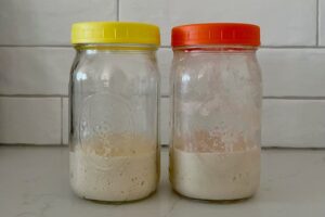 How Does Sourdough Starter Work? [science of sourdough] - The Pantry Mama