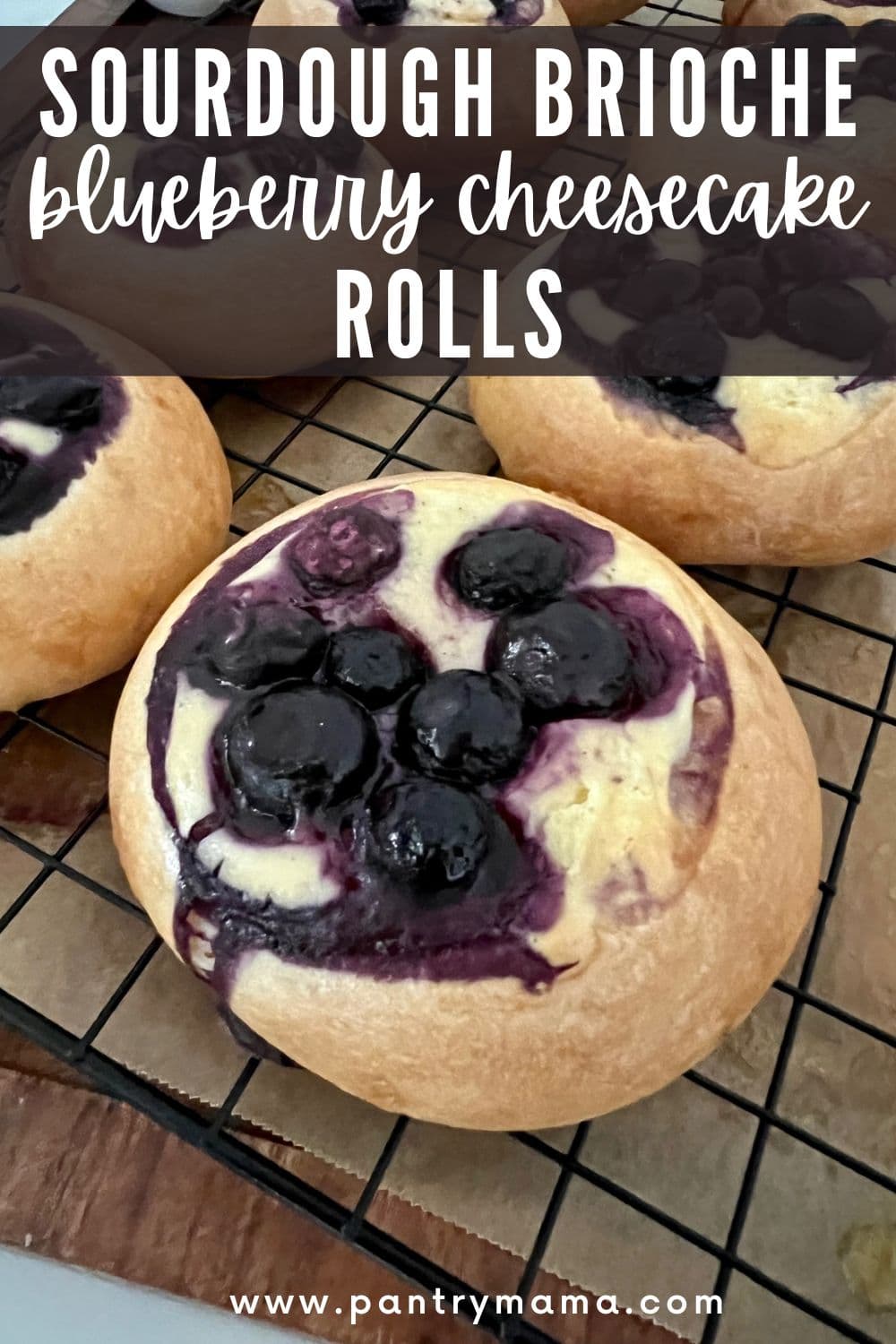 Sourdough Brioche Blueberry Cheesecake Rolls (Tarts) - The Pantry Mama