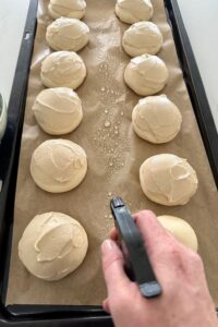 Easy Sourdough Tiger Rolls [Dutch Crunch Topping] - The Pantry Mama
