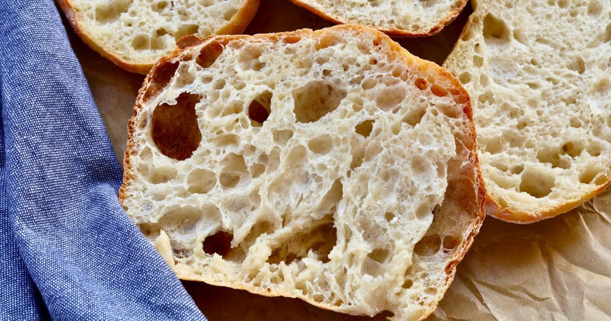 Sourdough Ciabatta Rolls [step by step recipe with photos] - The Pantry ...