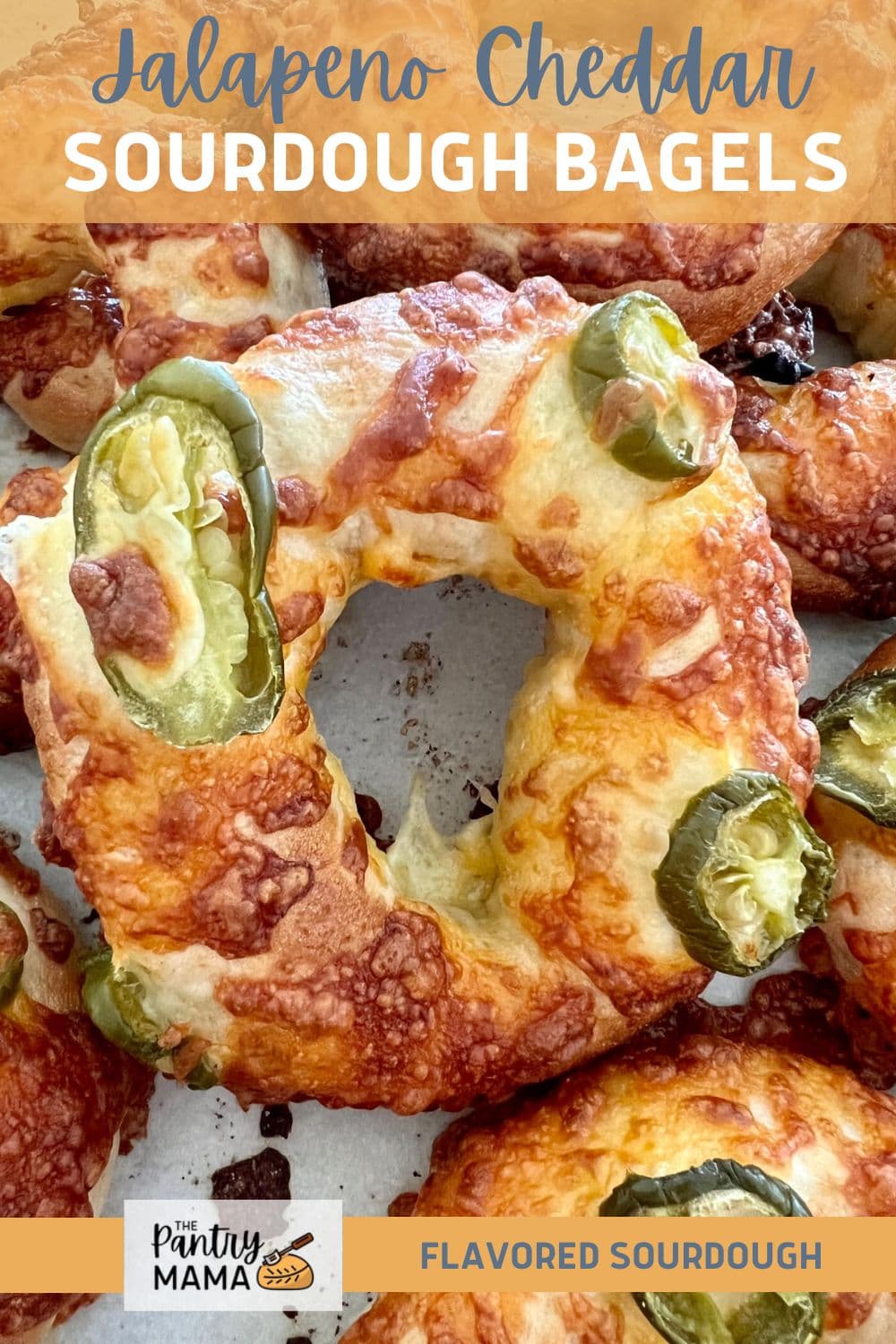 Jalapeño Cheddar Sourdough Bagels - The Pantry Mama