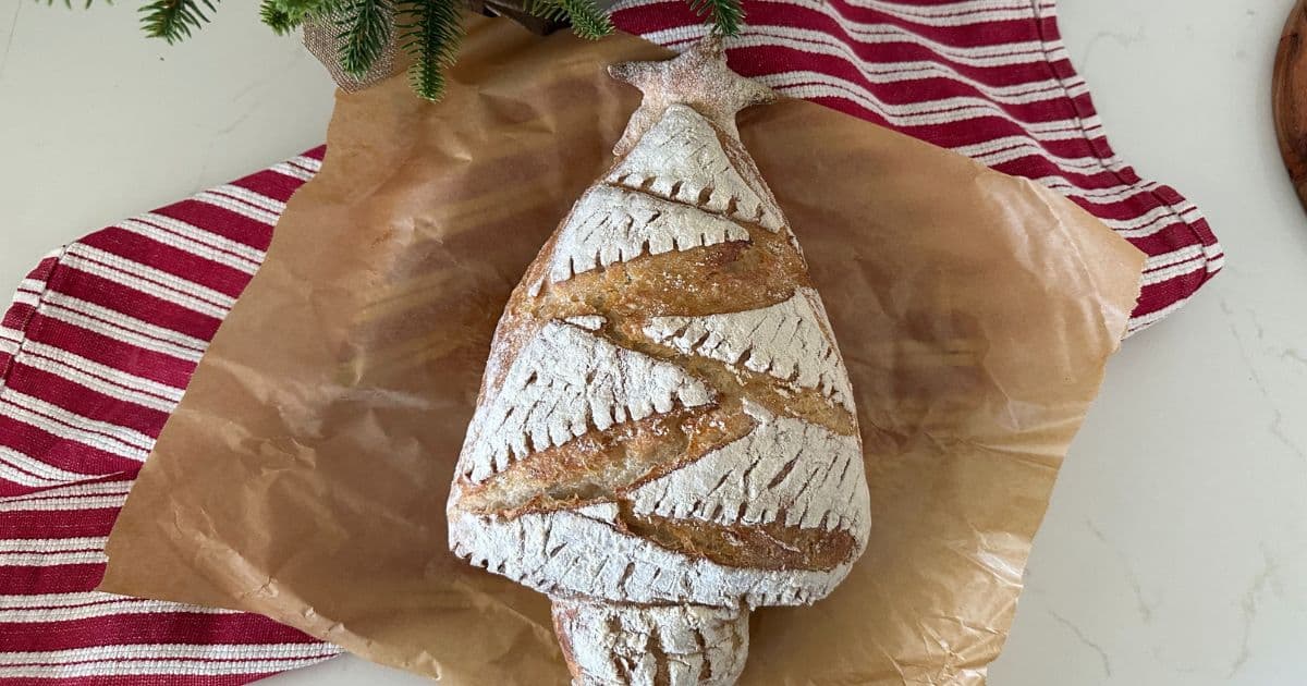 How To Shape A Christmas Tree Sourdough Bread [Easy Scoring] - The ...