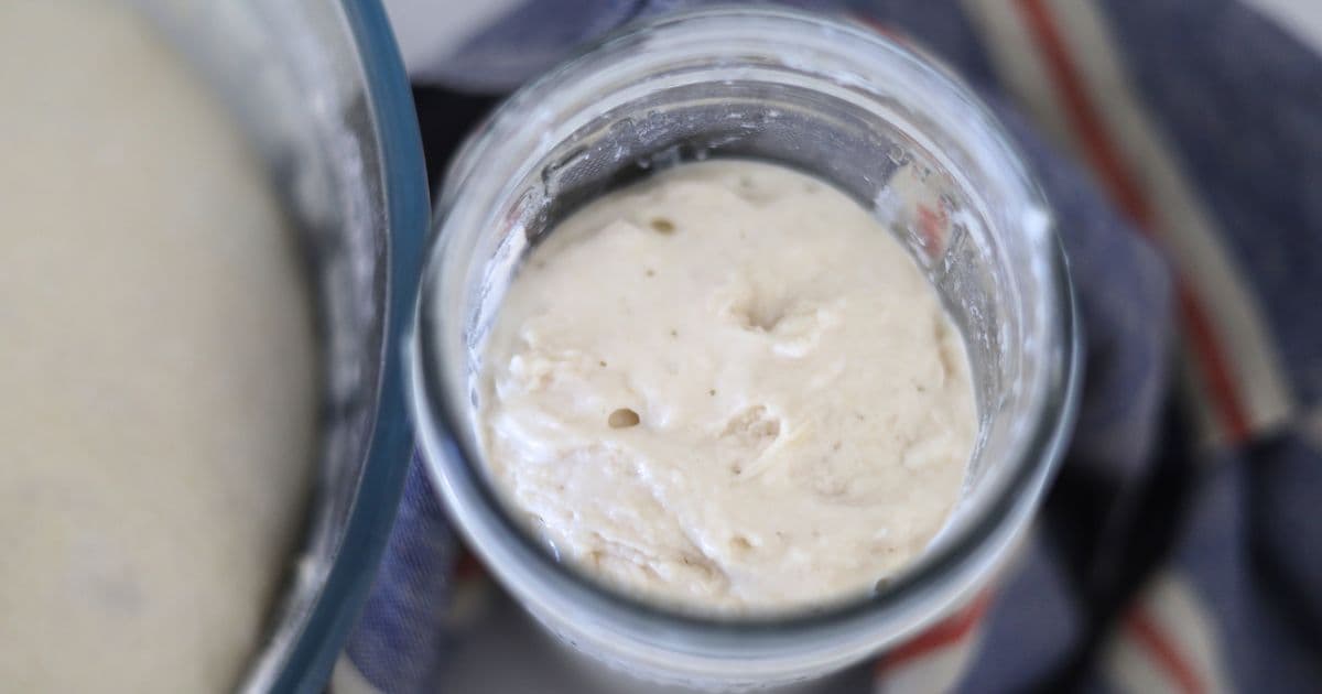 How To Get Bigger Bubbles In Your Sourdough Starter - The Pantry Mama