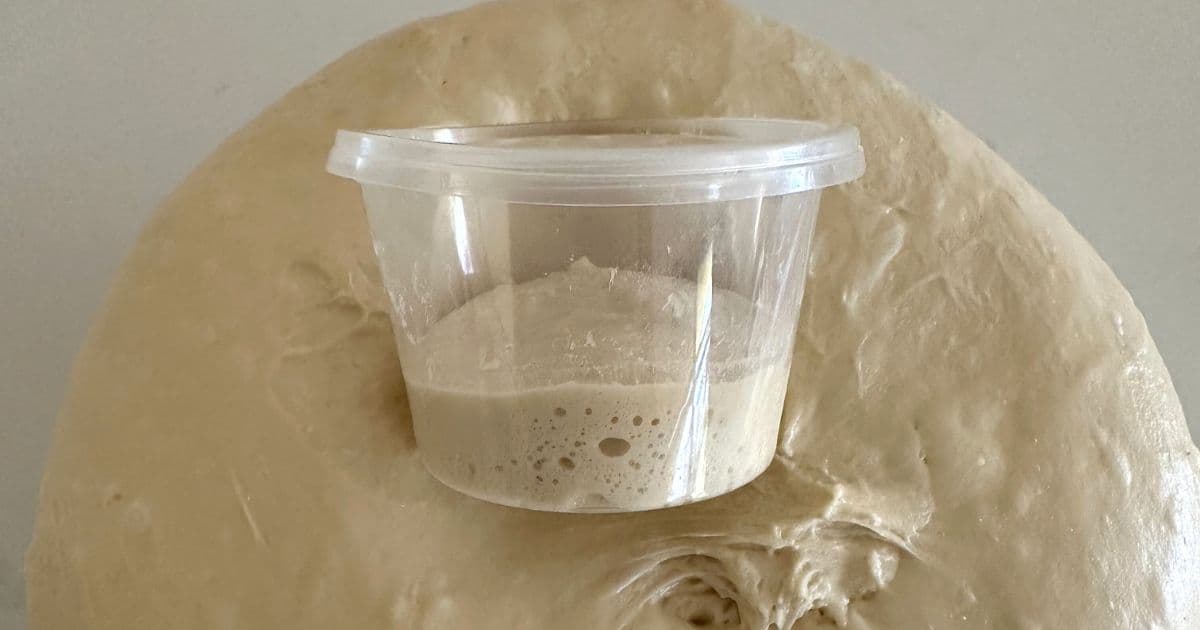 Aliquot Jar Method For Better Sourdough Bulk Fermentation - The Pantry Mama
