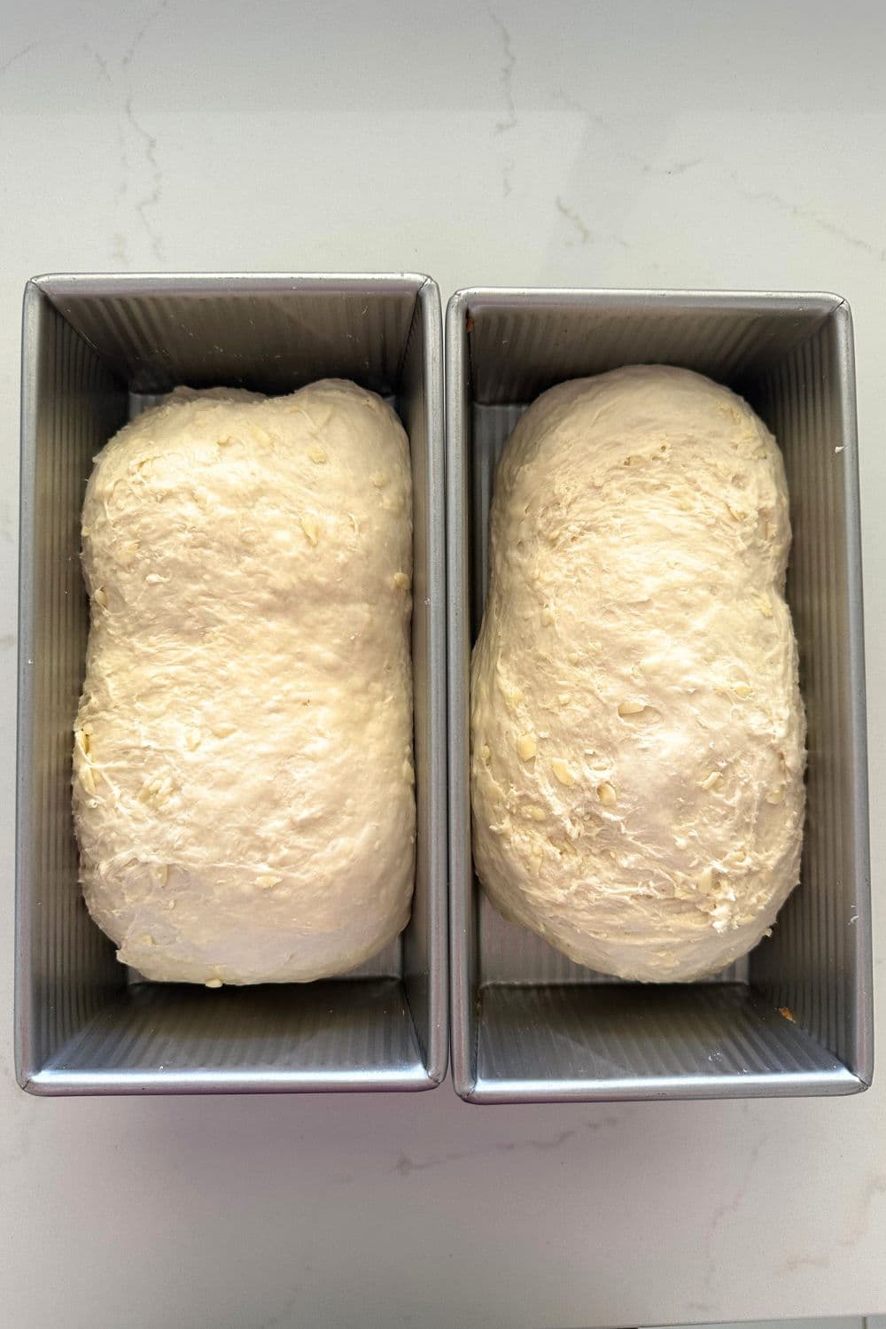 Golden Sourdough Cheese Bread - The Pantry Mama