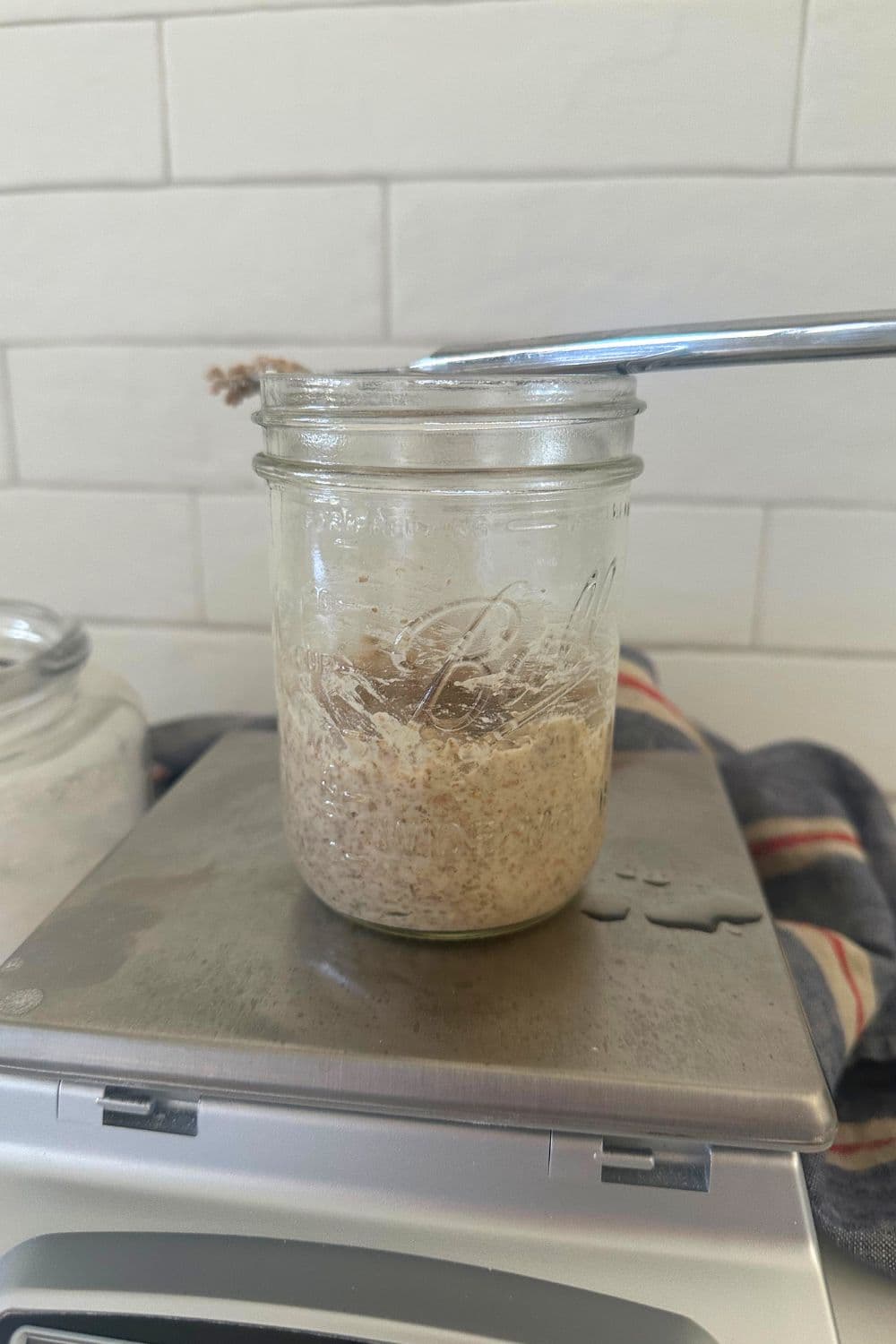 How To Make A Rye Sourdough Starter - The Pantry Mama