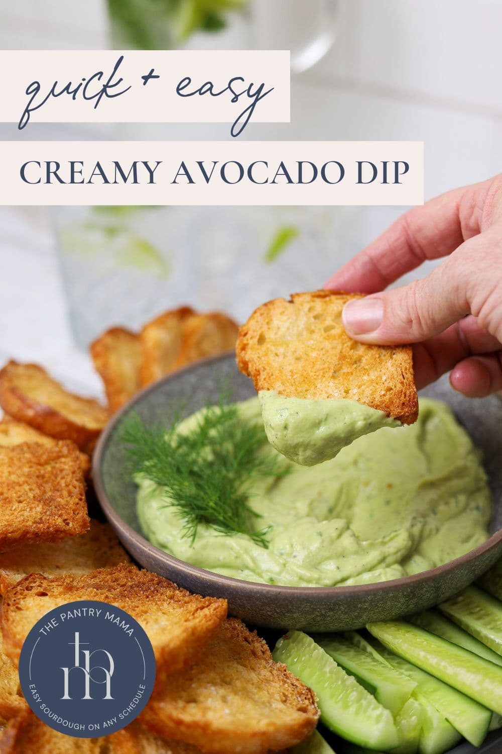 Smooth Avocado Dip - The Pantry Mama