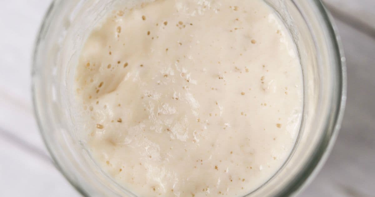 Sourdough Starter Not Bubbling? Here's What To Do! - The Pantry Mama