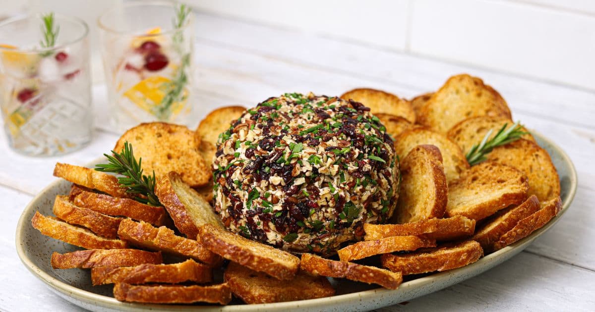Cranberry Pecan Cheese Ball Appetizer - The Pantry Mama