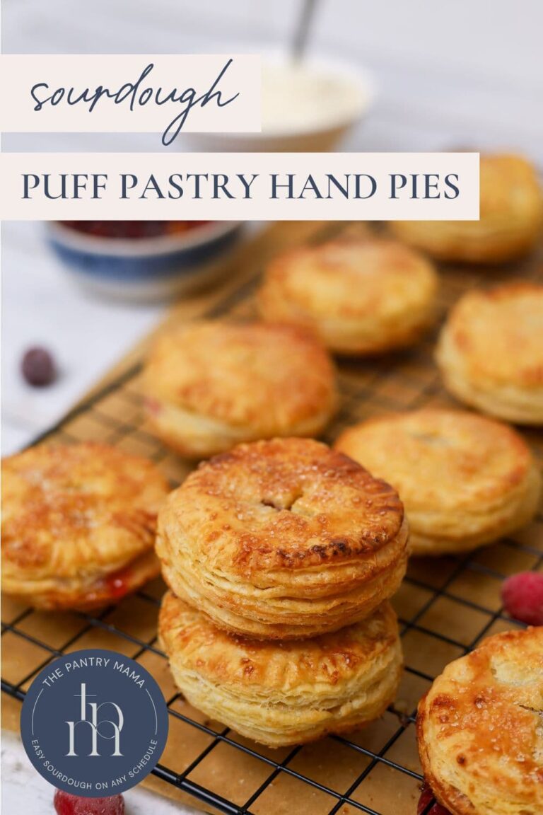 Apple Cranberry Sourdough Hand Pies - The Pantry Mama