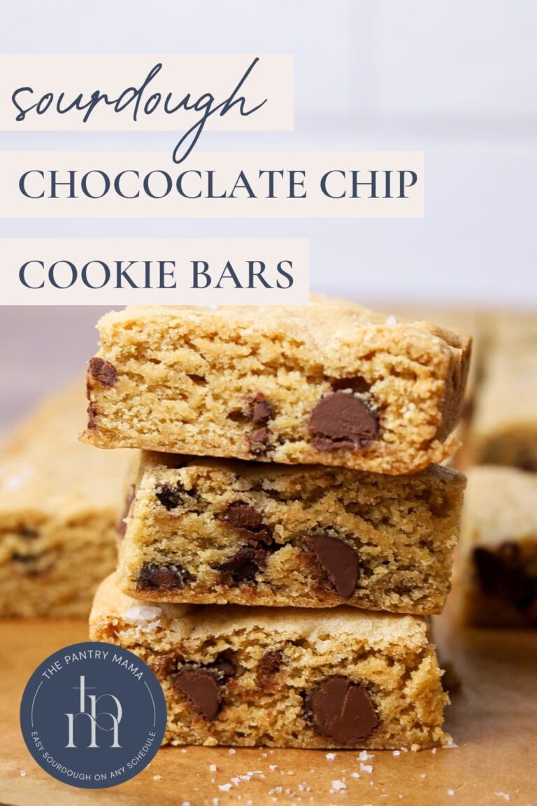 Sourdough Chocolate Chip Cookie Bars - The Pantry Mama