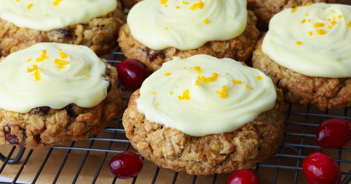 Orange Cranberry Sourdough Oatmeal Cookies - The Pantry Mama
